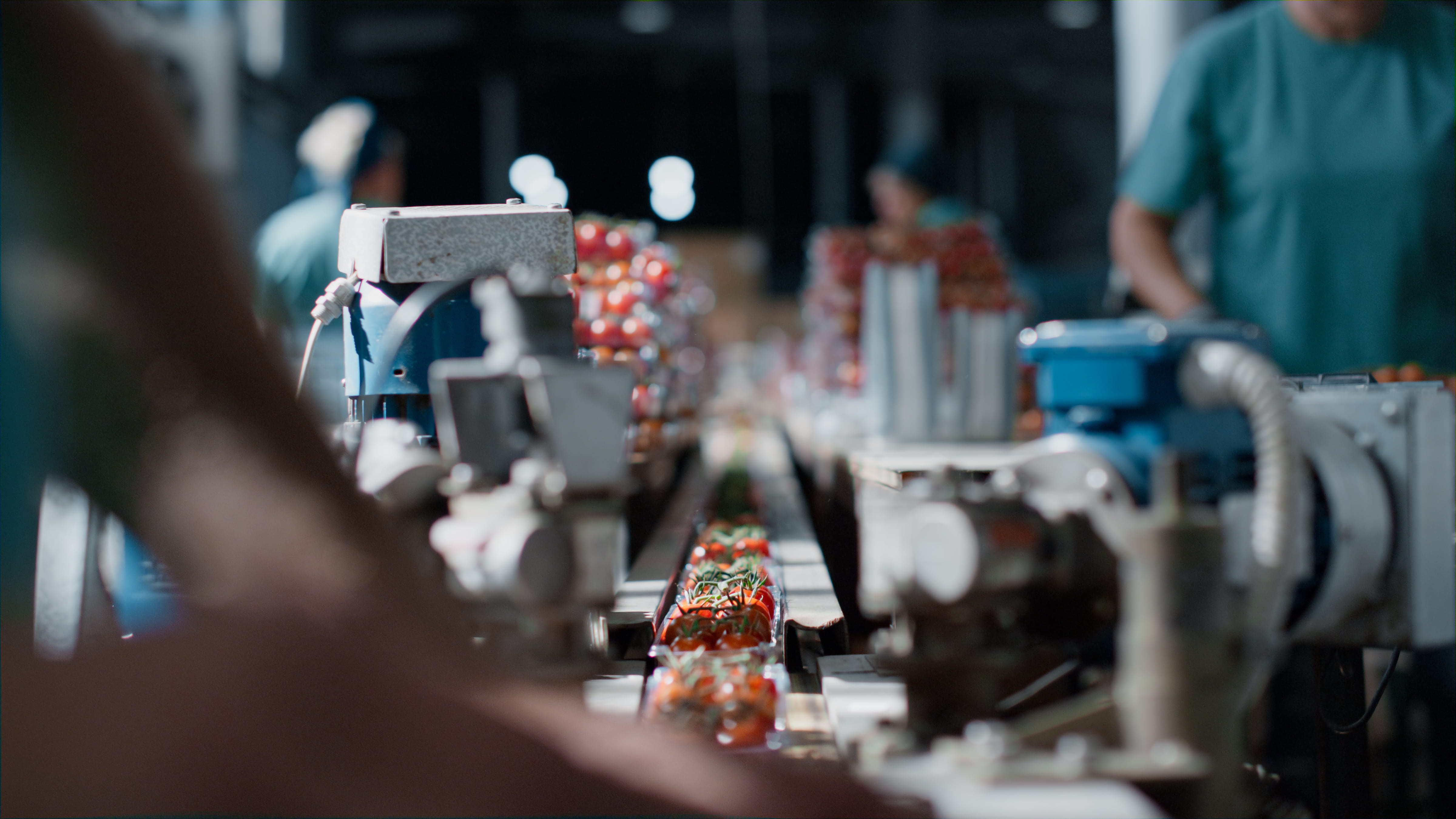 Process and packaging automation | OEM Automatic Ltd